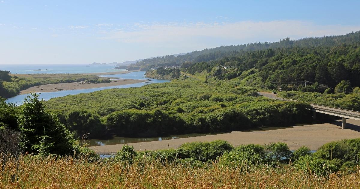 Giants and Pygmies | Mendocino Redwoods RV Resort